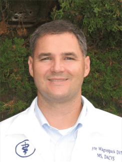 Southeastern Veterinary Specialty Center: Top Rated Columbus Veterinarians